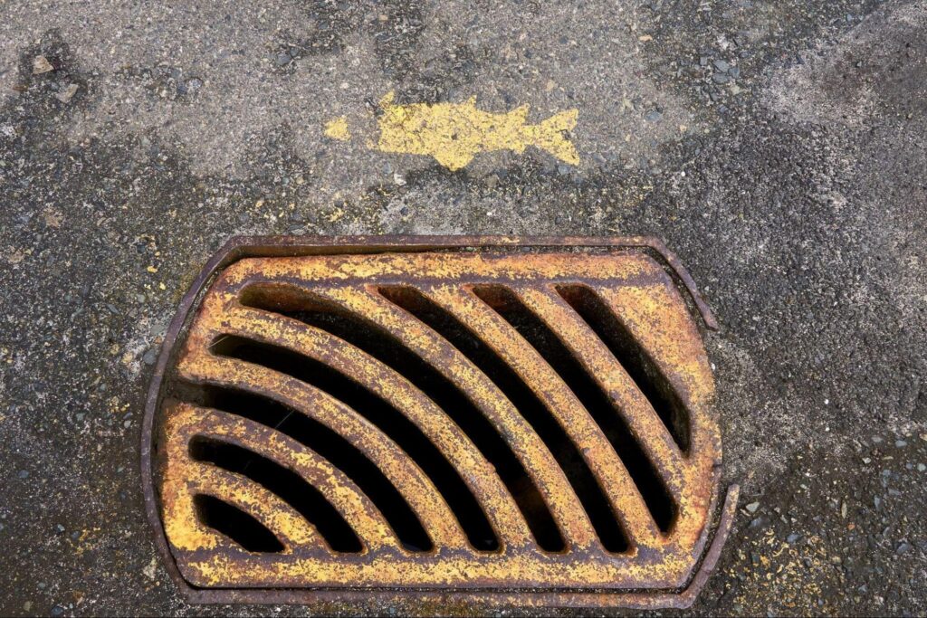 How to Unblock a Drain Outside | Step-by-Step Home Guide | DrainBoss