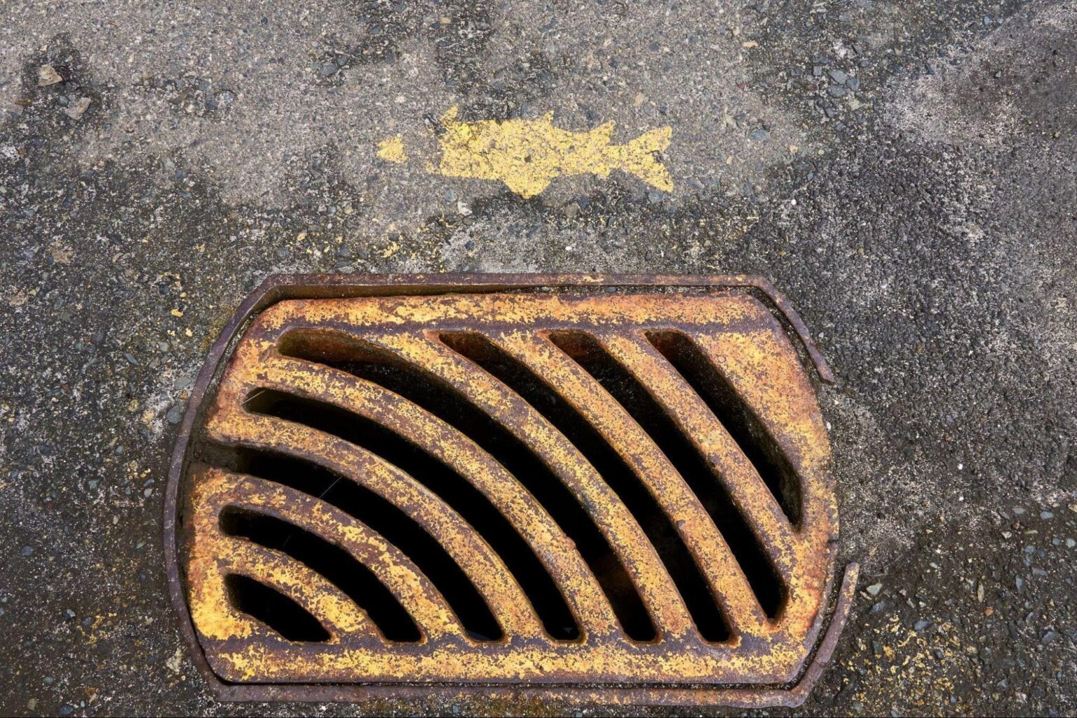 How to Unblock a Drain Outside | Step-by-Step Home Guide | DrainBoss